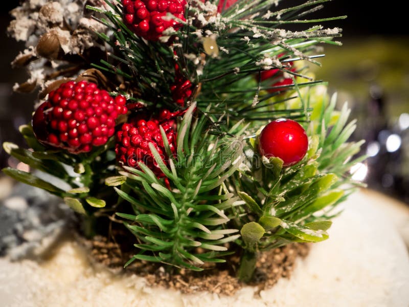 Christmas Winter Composition with Cinnamon Sticks, Fir Tree, Red Berry ...