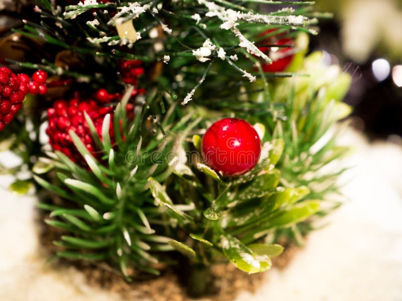 Christmas Winter Composition with Cinnamon Sticks, Fir Tree, Red Berry ...