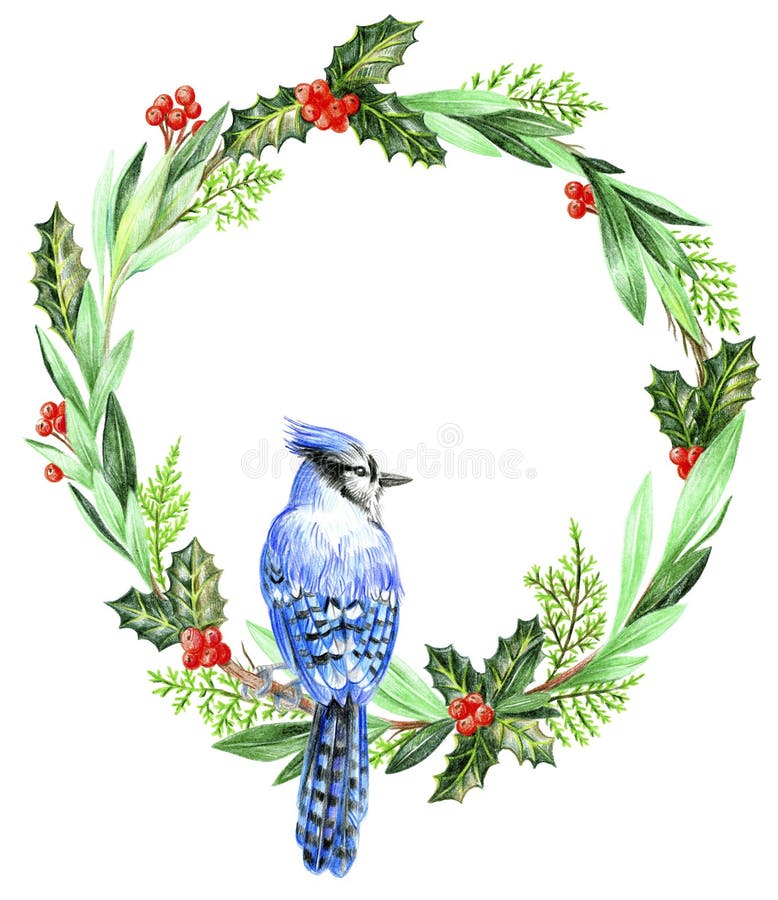 Happy Blue Jay Stock Illustrations – 91 Happy Blue Jay Stock ...