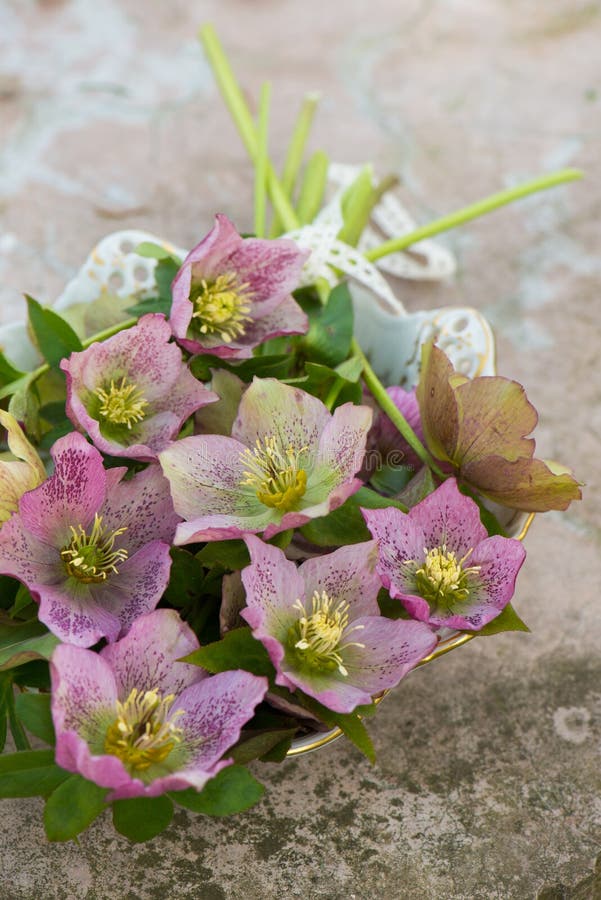 Christroses stock image. Image of christ, textile, vintage - 67837231