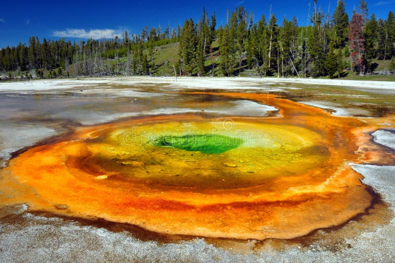 Morning Glory Pool, Yellowstone National Park Stock Photo - Image of ...