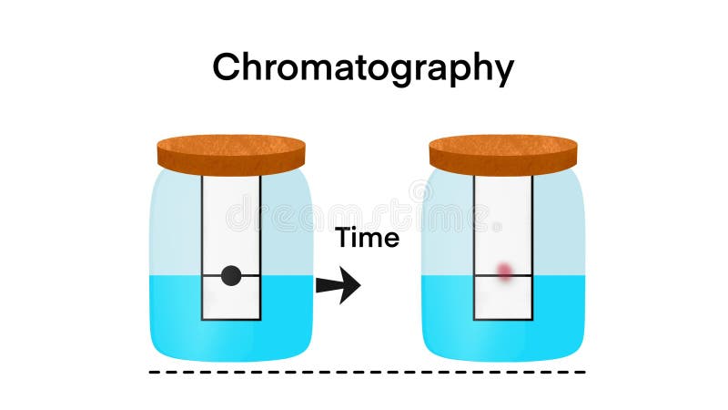 Chromatography Analytical Method for the Separation of a Mixture into ...
