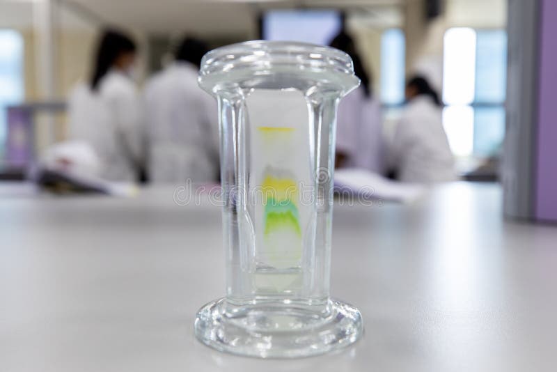 Chromatography is Used To Separate Components of a Plant. Stock Photo ...