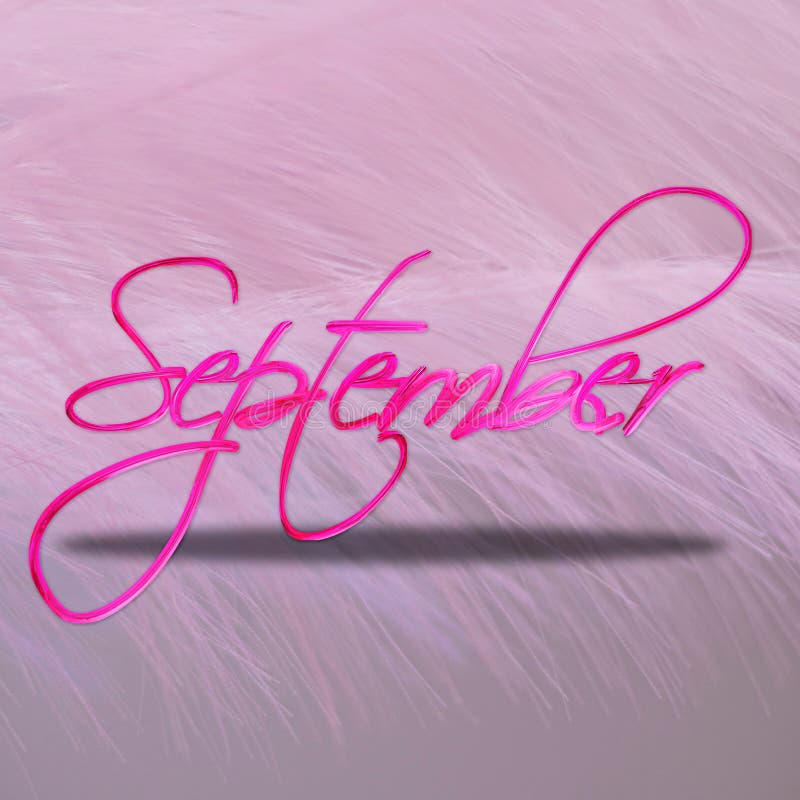 September in Pink Theme Chrome Effect Stock Illustration - Illustration ...
