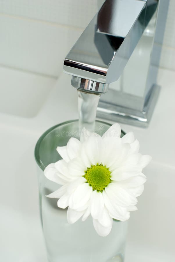 Chrome Tap Water and Flower Stock Image - Image of flower, basin: 21404111