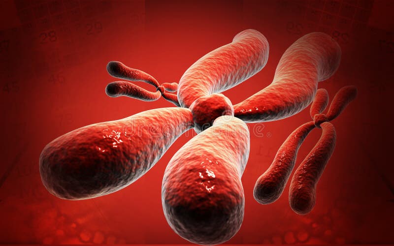 Chromosom stock abbildung. Illustration von wissenschaft - 48689222