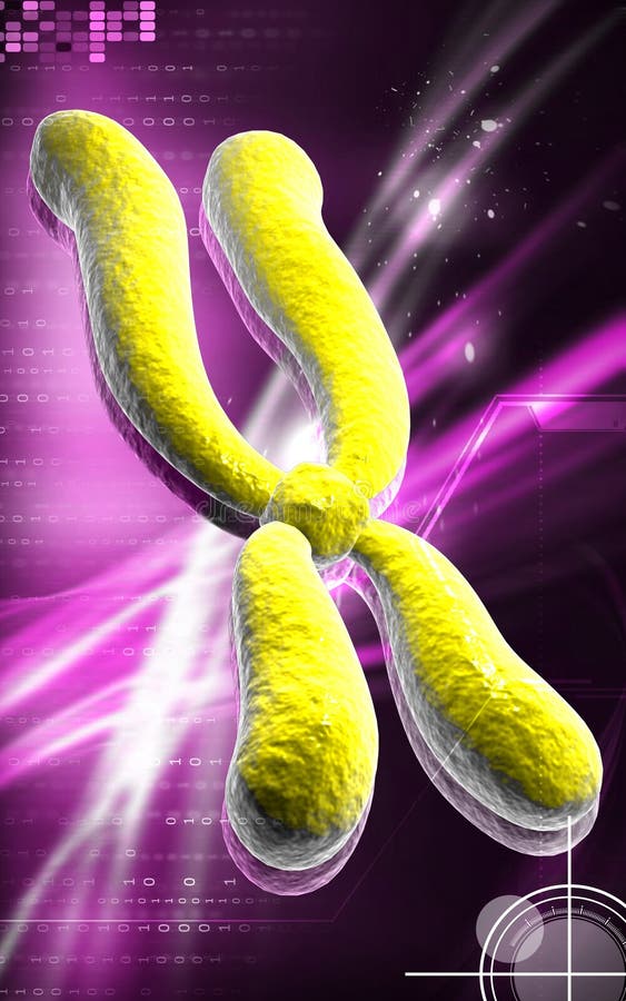 Chromosome stock illustration. Illustration of evolution - 36131174