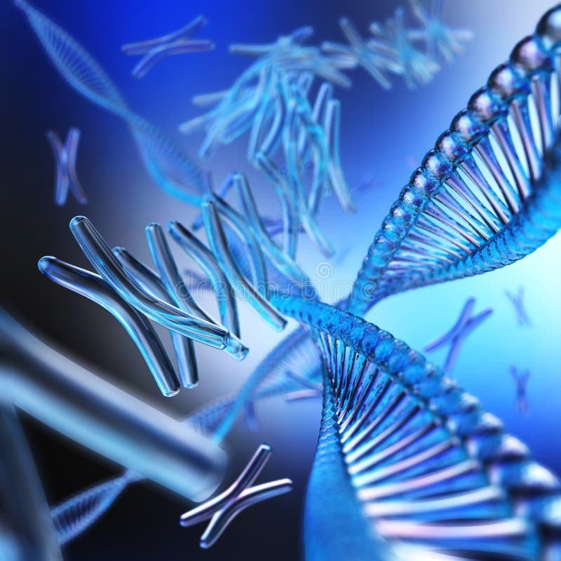 Chromosome. DNA. stock illustration. Illustration of cloning - 81608434