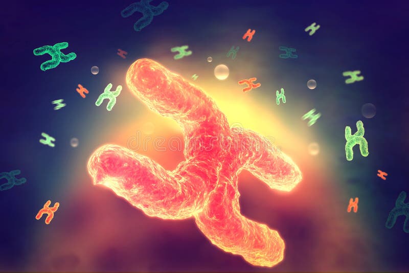 Chromosome on Scientific Background Stock Illustration - Illustration ...
