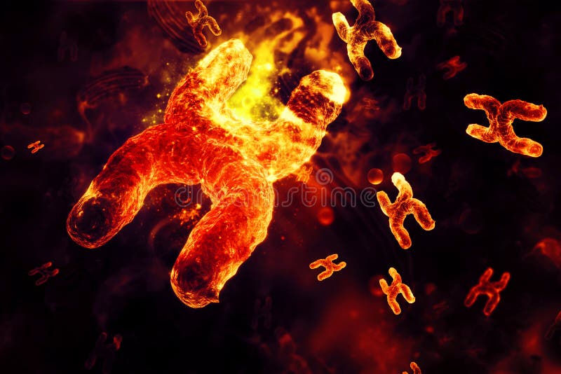 Chromosome on Scientific Background Stock Illustration - Illustration ...