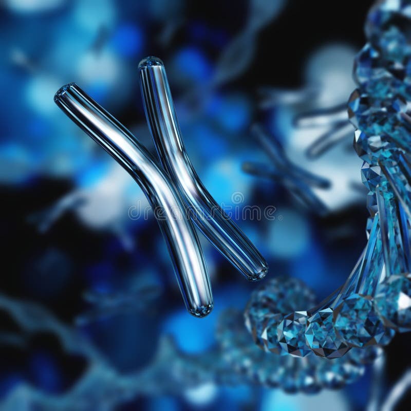 Chromosome X Shape, Human Genome Stock Illustration - Illustration of ...