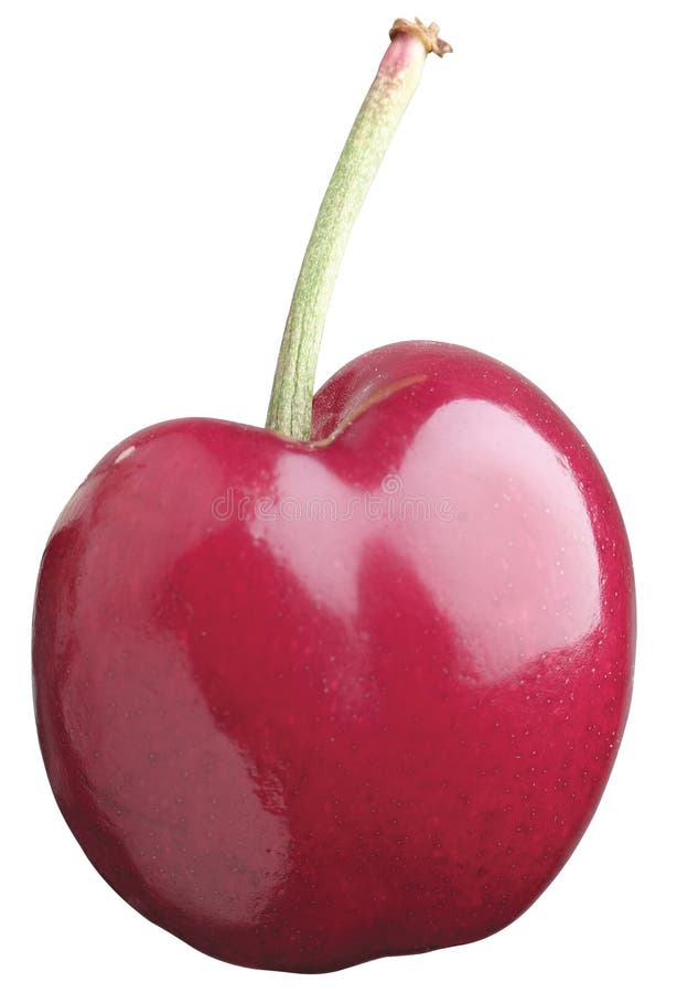 Cherry stock photo. Image of spring, juice, sweet, tasty - 231364