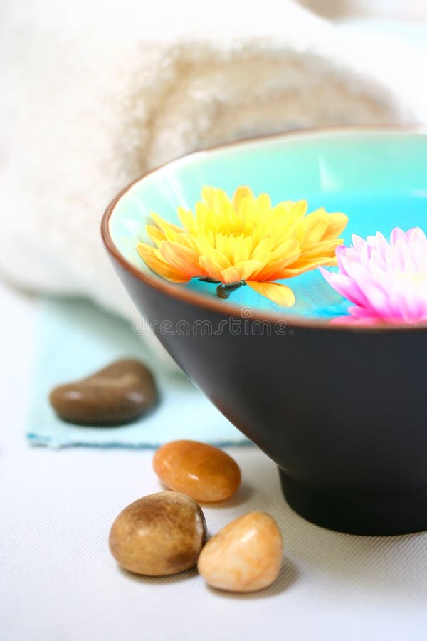 Chrysanthemum Pebble and Spa Stock Photo - Image of indulge, massage ...