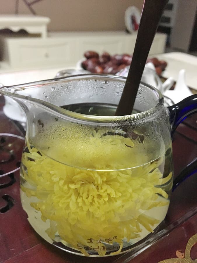 Chrysanthemum Tea editorial photography. Image of beautiful - 130521887