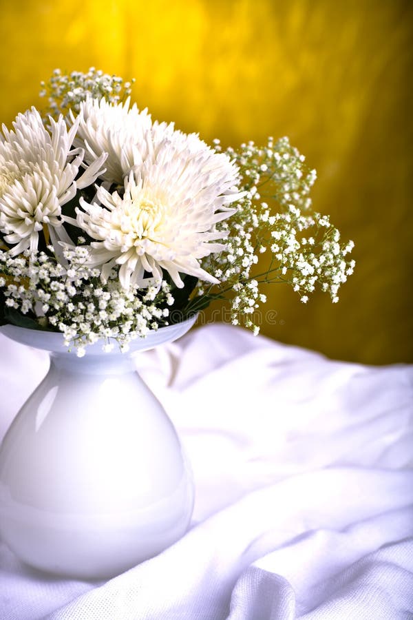 Chrysanths bunch stock image. Image of bunch, single - 11634675