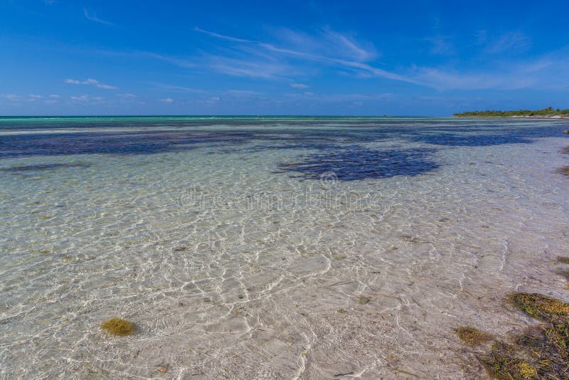 Chrystal Clear Waters of Florida Keys Stock Image - Image of keys ...