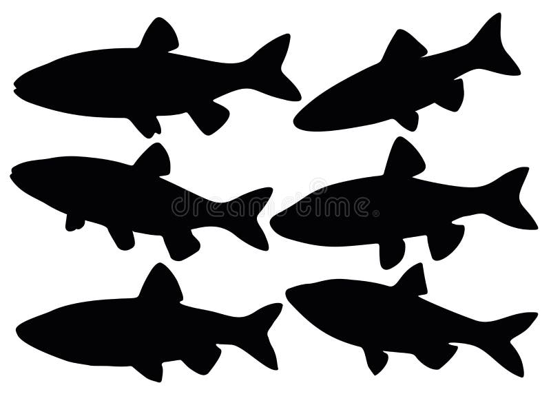 Chub Fish Stock Illustrations – 322 Chub Fish Stock Illustrations ...