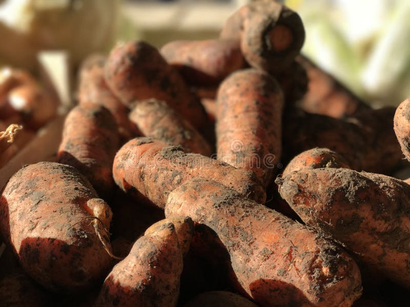 64,979 Chubby Tgp Stock Photos - Free & Royalty-Free Stock Photos from ...