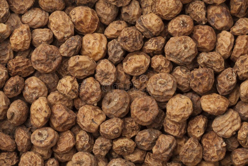 Chufa stock photo. Image of fruit, tuber, chinese, earth - 4913502