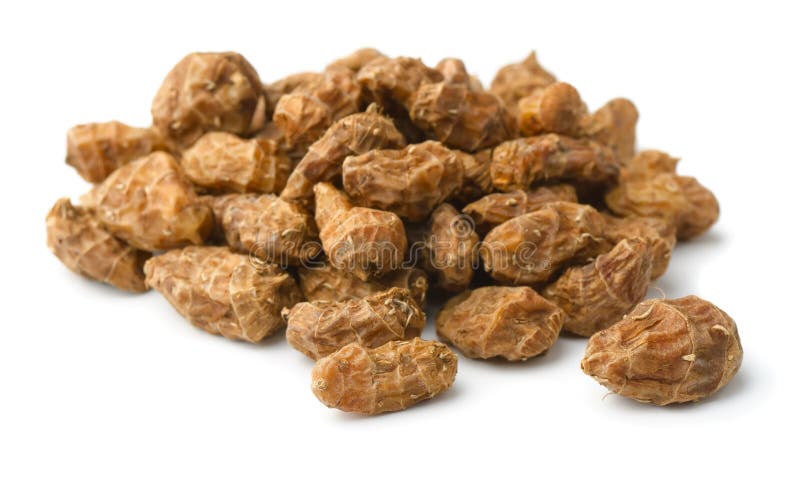 Chufa stock image. Image of herbal, food, nutsedge, chufa - 30769185