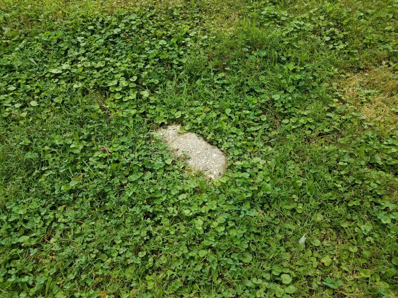 Chunk of Grey Cement Block in Green Grass or Lawn Stock Photo - Image ...