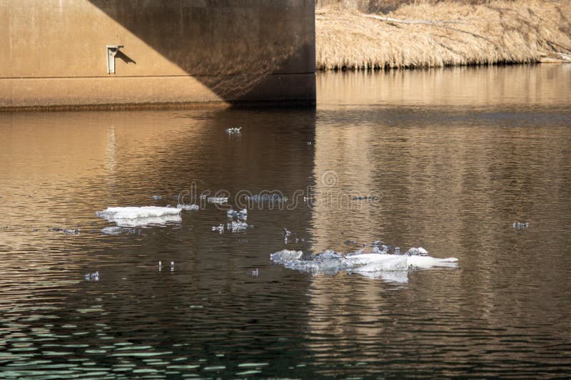 Chunks Ice Floating Down River Spring Stock Photos - Free & Royalty ...