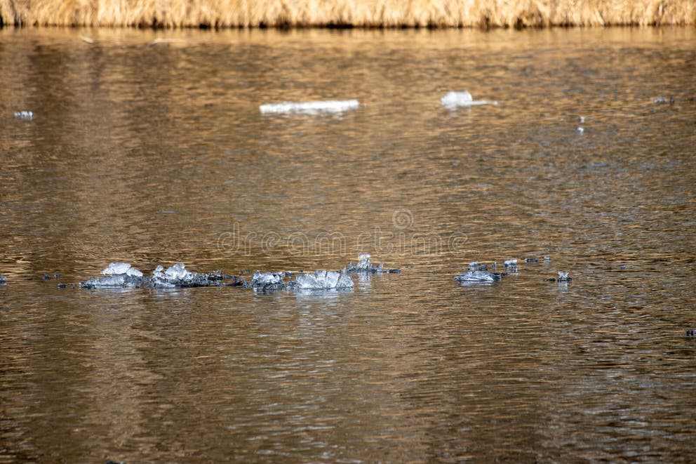 Chunks of Ice Floating in the River in Spring Stock Image - Image of ...