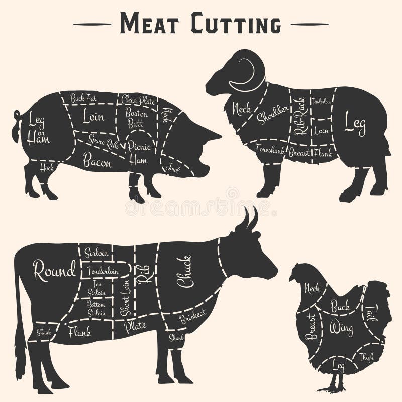 Chunks of Meat - Chicken, Pork, Beef and Lamb. Vector Silhouettes of ...