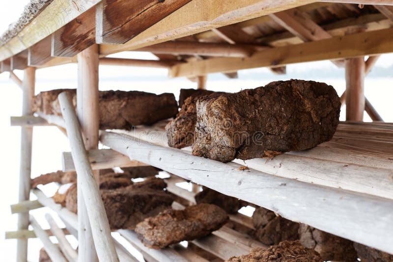 Drying peat stock photo. Image of cutoff, marsh, nature - 22285606