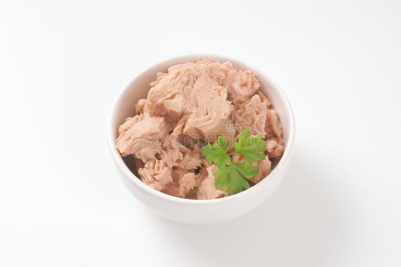 Chunks of tuna stock image. Image of appetizer, slice - 59919427