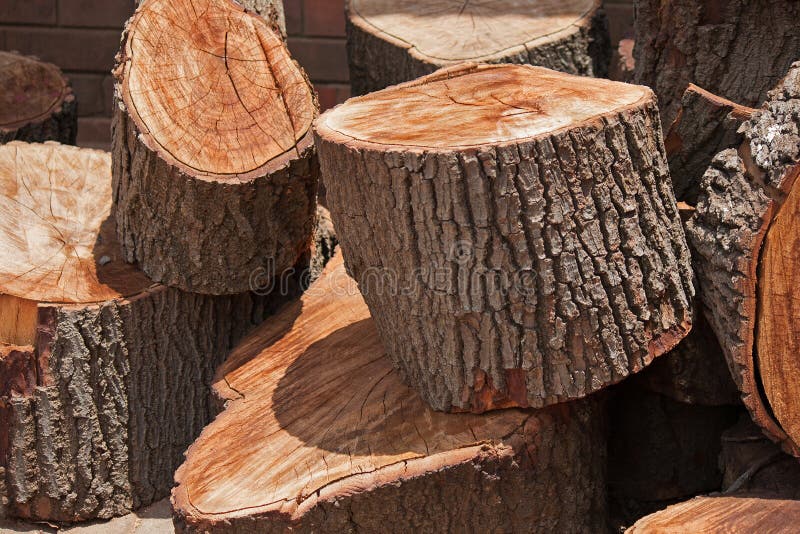 Chunky pieces of log stock photo. Image of rough, background - 91541036