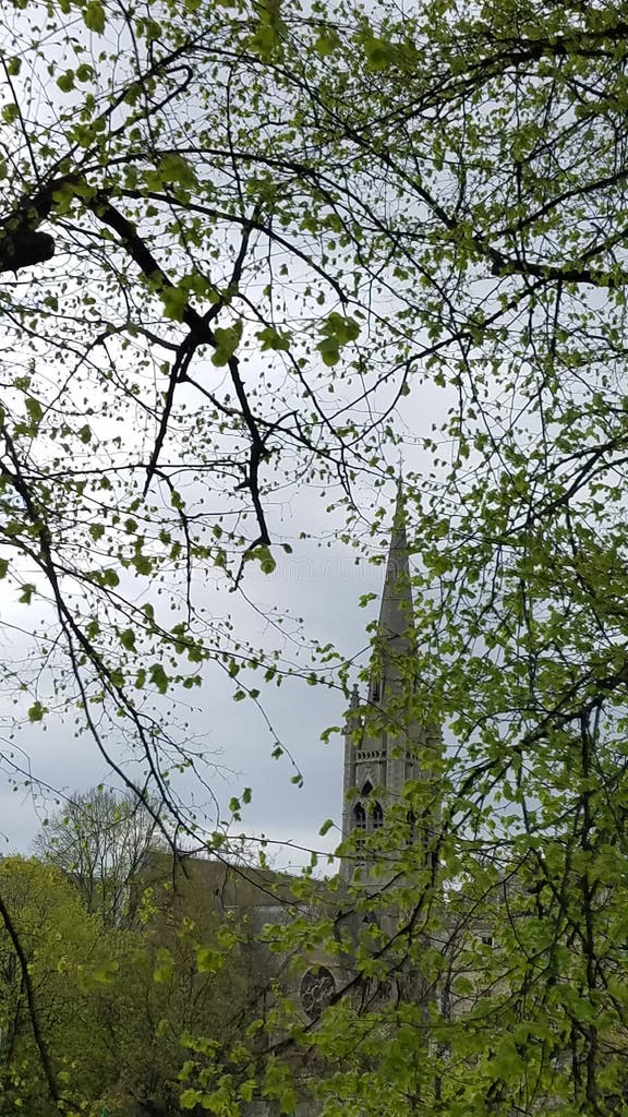 Castle stock image. Image of castle, branch, spring - 106012175