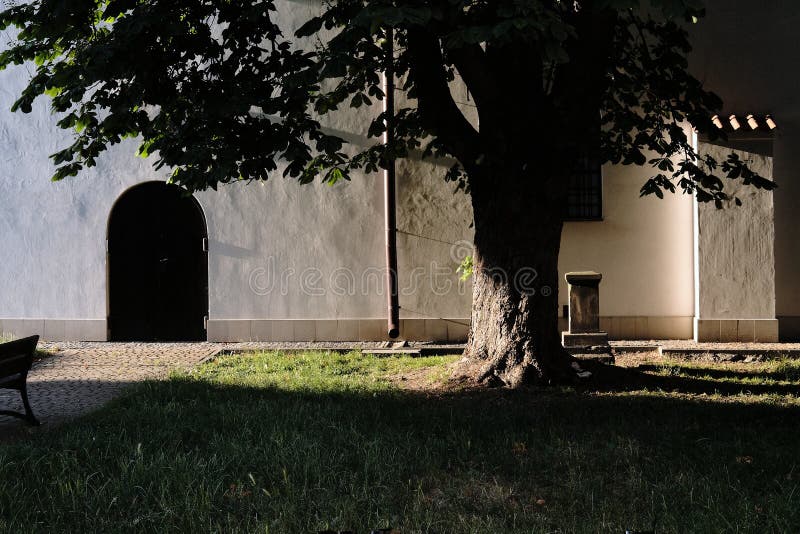 Church Courtyard with Beautiful Old Tree and Shadows Cast by Evening ...