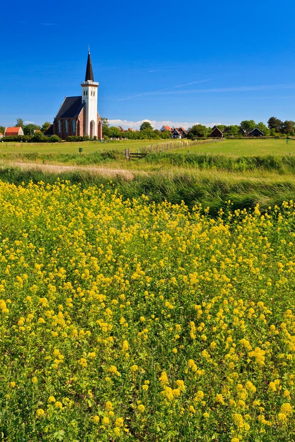 Church and Flower Field on a Sunny Day Stock Image - Image of clear ...