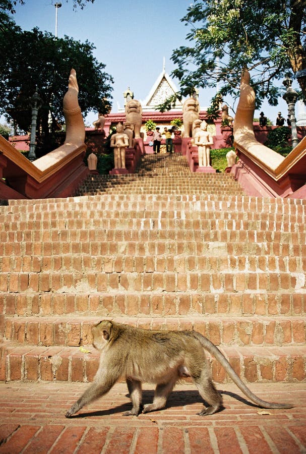 Church monkey - Cambodia stock image. Image of buddhism - 3860987