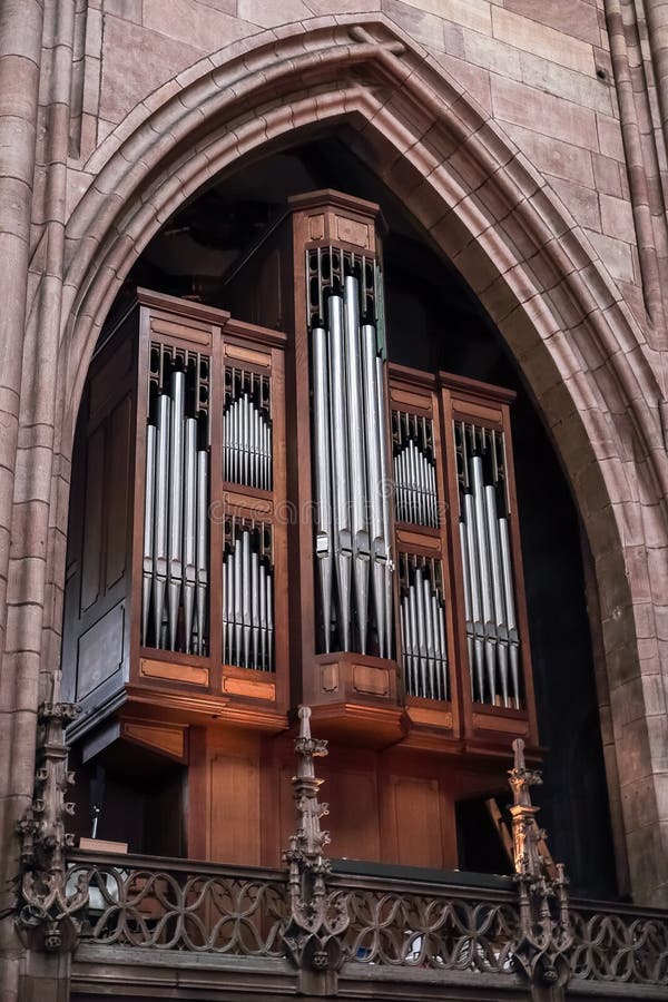 German Organ Donation Card editorial stock photo. Image of operating ...