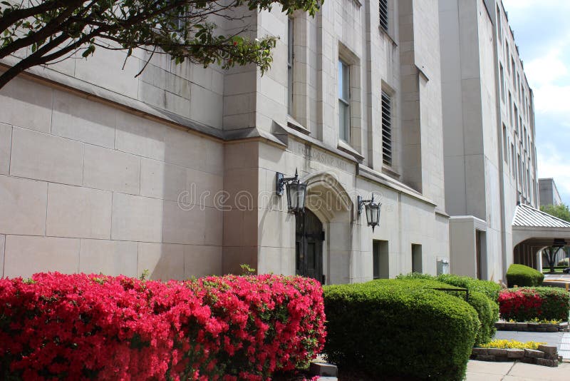 Church stock photo. Image of outside, church, bush, religion - 57143410