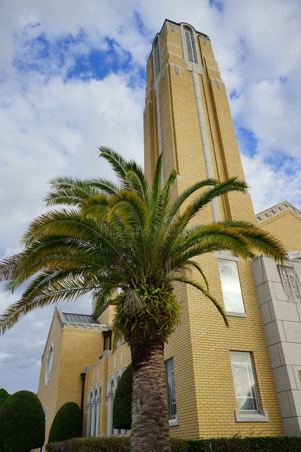 A church and palm tree stock image. Image of place, real - 84195063