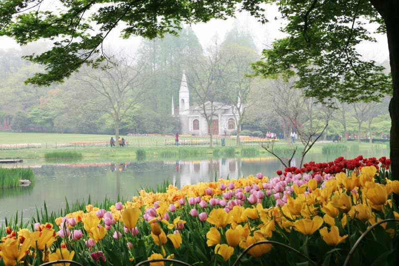 Church In Park Picture. Image: 5051947