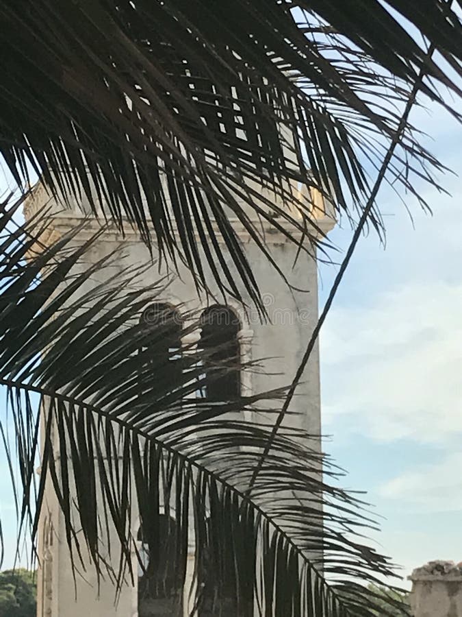 Church Tower Belfry with Arches Covered with Palm Tree Stock Image ...