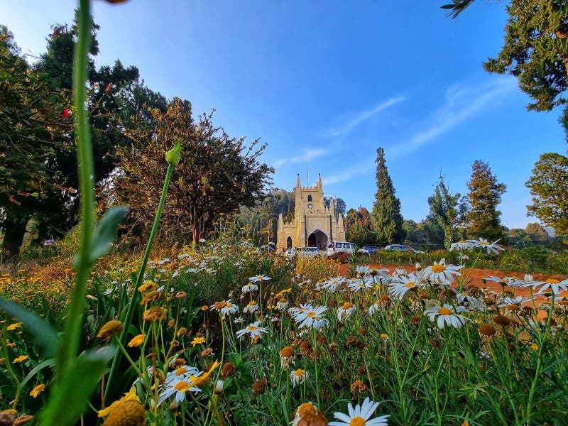 Church in spring stock image. Image of vegetation, woodland - 218157441
