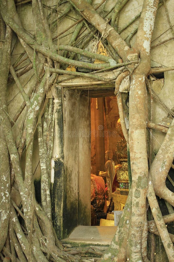 Church Surrounded by Tree Roots Stock Image - Image of gold, landmark ...