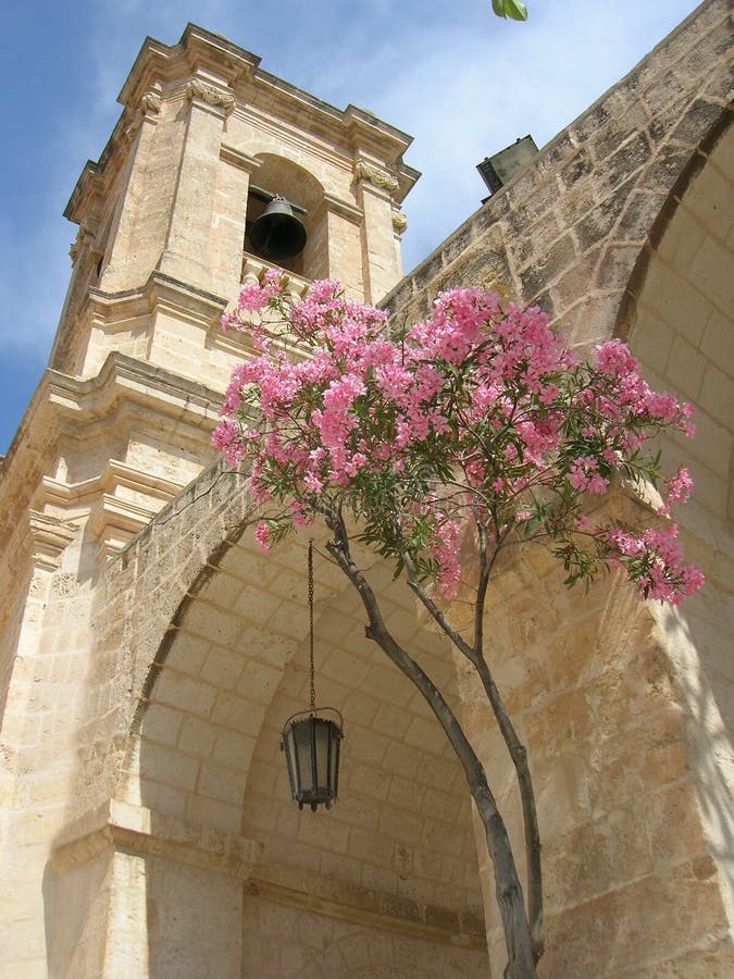 Church and tree stock photo. Image of temple, flower - 10416162