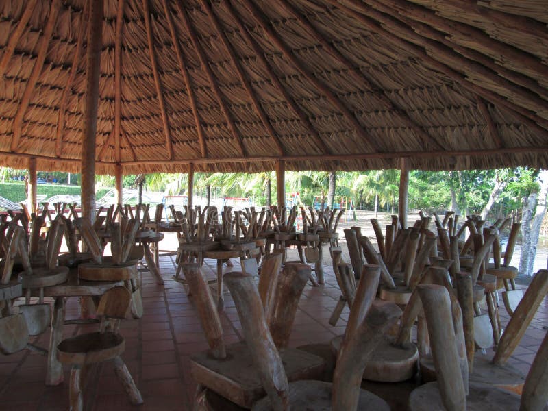 Churuata at Caroni River stock image. Image of caroni - 44378767