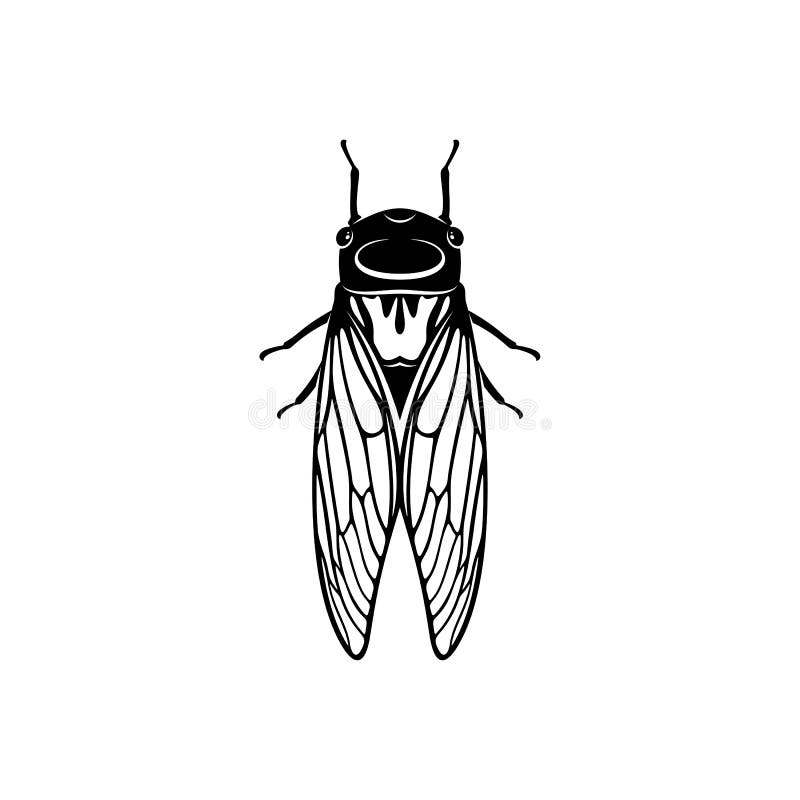 Image Hardy Ramanujanportrettenjpg Uncovering Cicada Image Hardy Ramanujanportrettenjpg Uncovering Cicada
