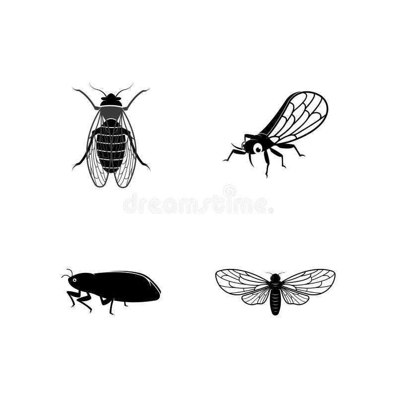 Cicada Logo Vector Icon Template Stock Vector - Illustration of insect ...
