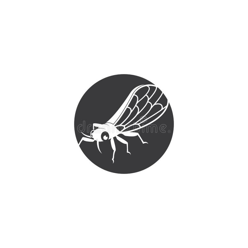 Cicada Logo Vector Icon Template Stock Vector - Illustration of nature ...