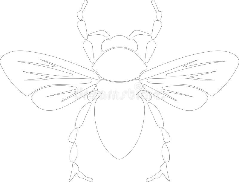 Cicada Outline Silhouette Generative Ai Stock Vector - Illustration of ...