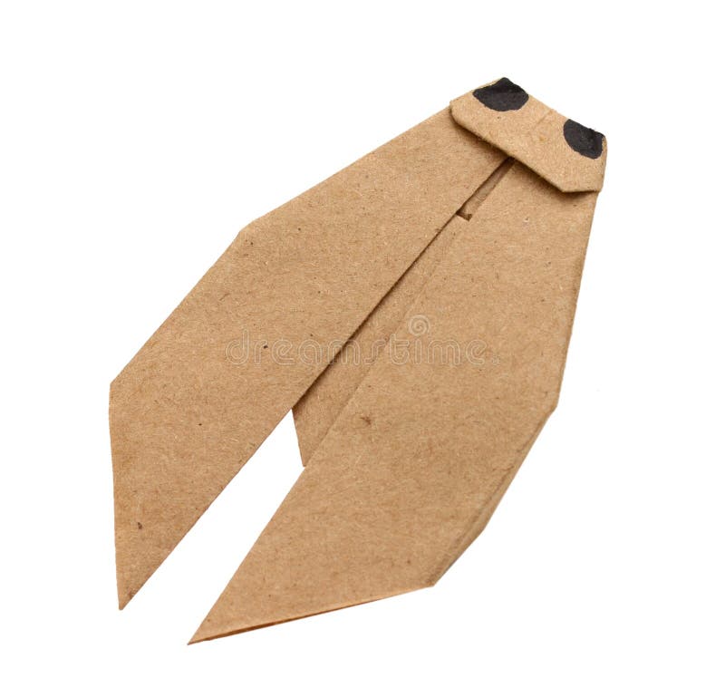 Cicada paper stock photo. Image of white, background - 47869098