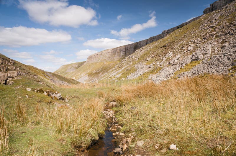 Cicatriz y Beck de Ono foto de archivo. Imagen de acodado - 92109590